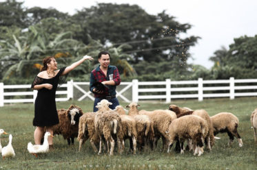 DISCOVER: Have you been to The Old Grove Farmstead? – Batangas Ever After