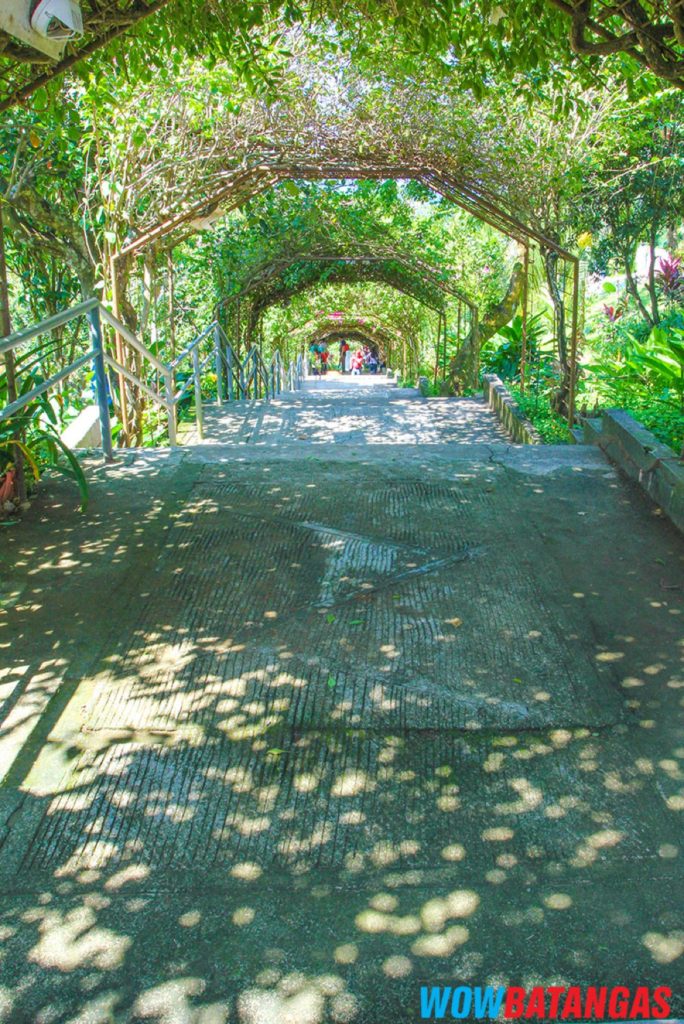 DISCOVER: Visit the Marian Orchard in Balete, Batangas – Batangas Ever ...